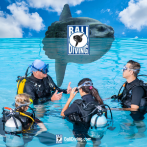 Bali Diving Academy Programs - Bali Diving Blog